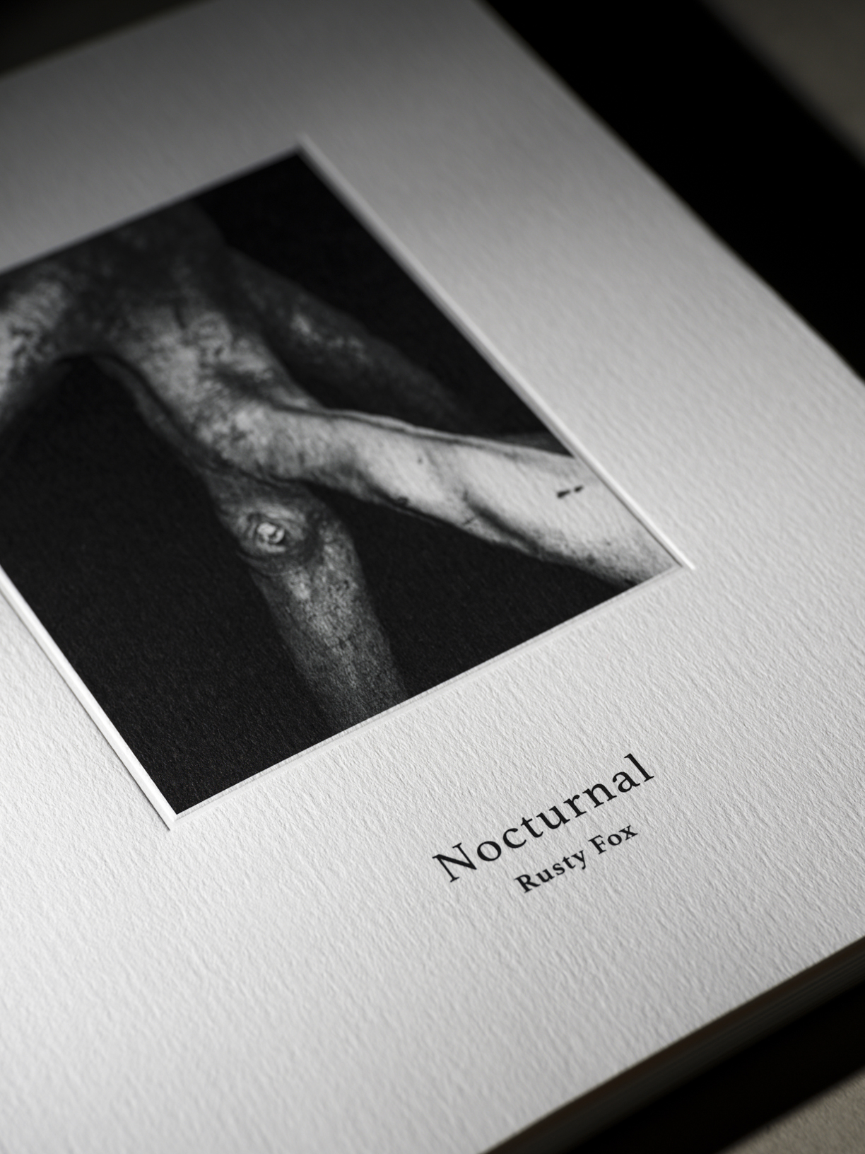 Nocturnal – Rusty Fox Photography